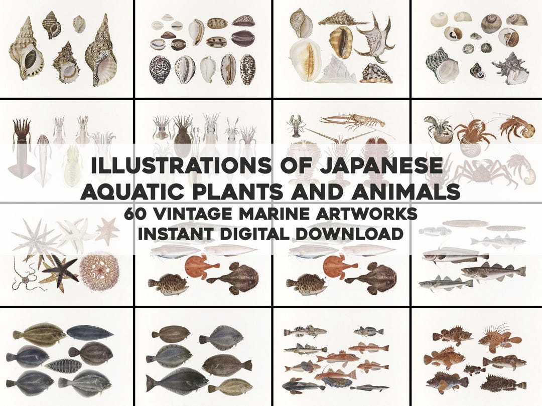 Japanese Aquatic Plants & Animals Prints | Image Bundle Printable Wall ...
