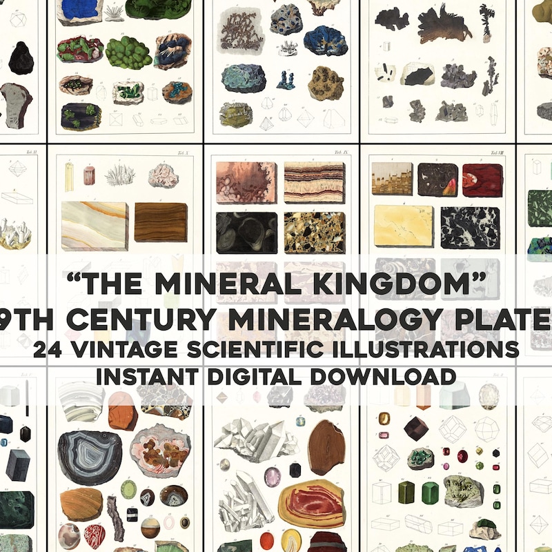 Printable Geology Images - Etsy UK