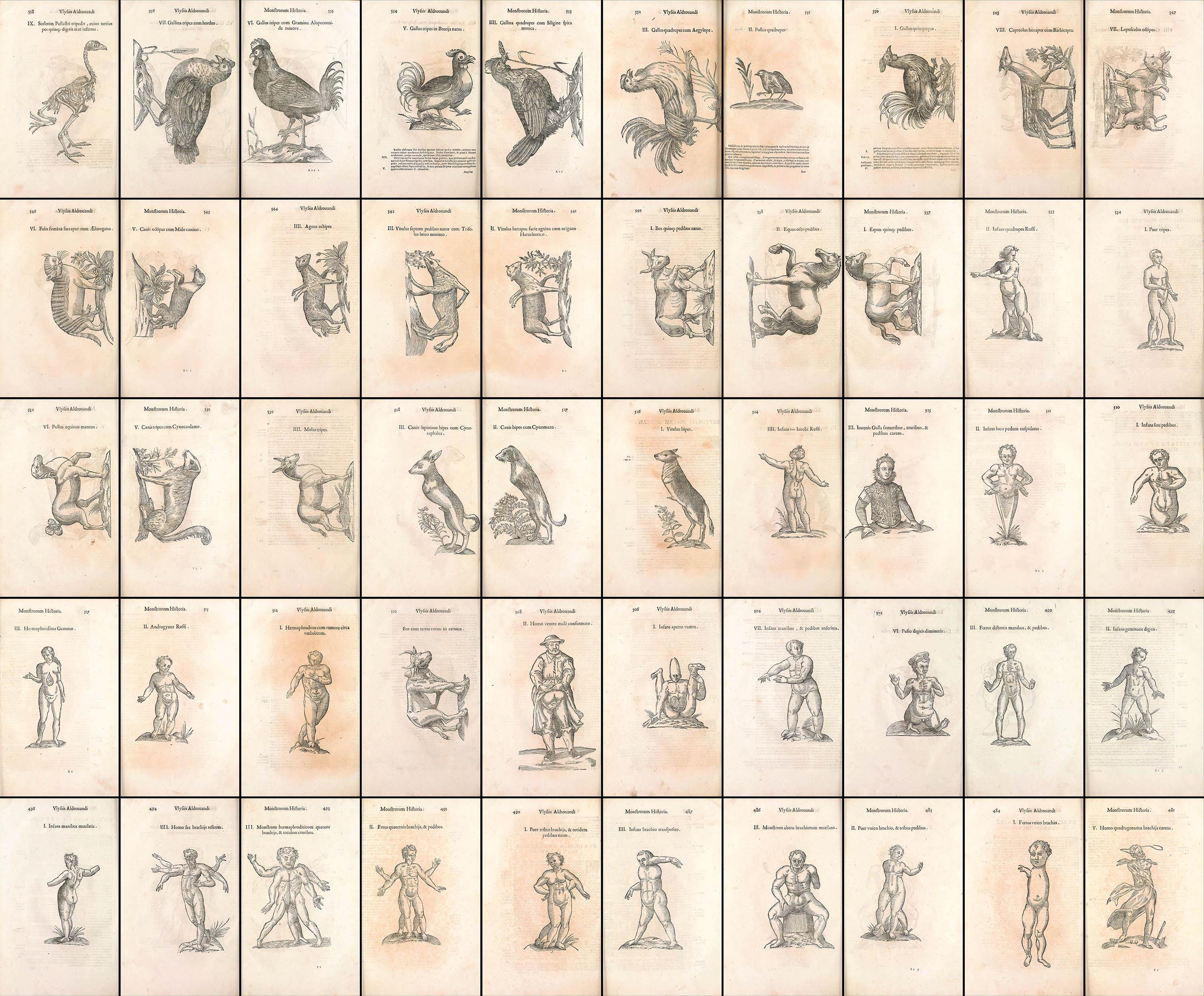 The History of Monsters Set 2 | 93 Stained Distressed Images Bundle ...