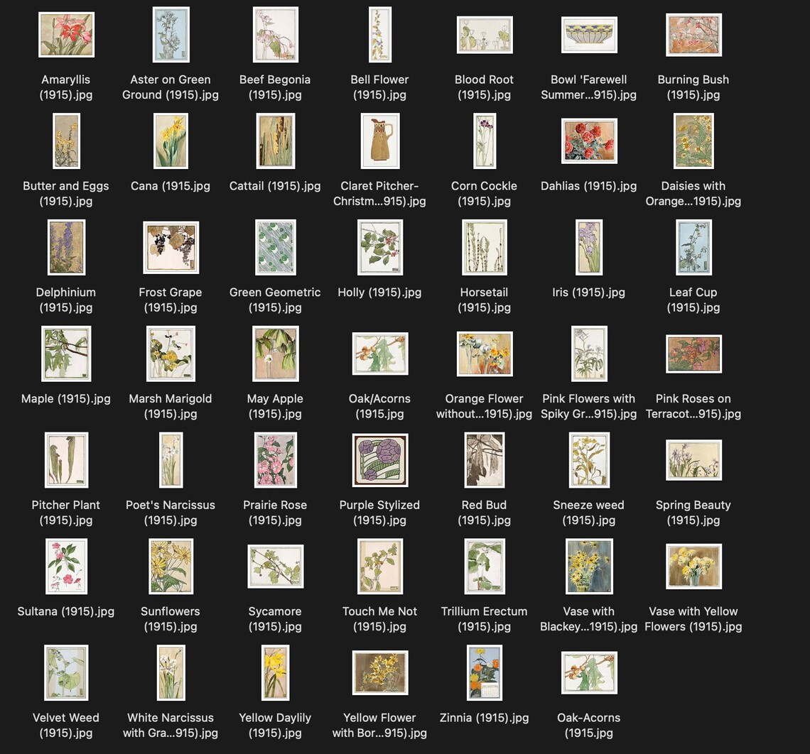 Hannah Overbeck Botanical Art Nouveau Printable Wall Art - Etsy