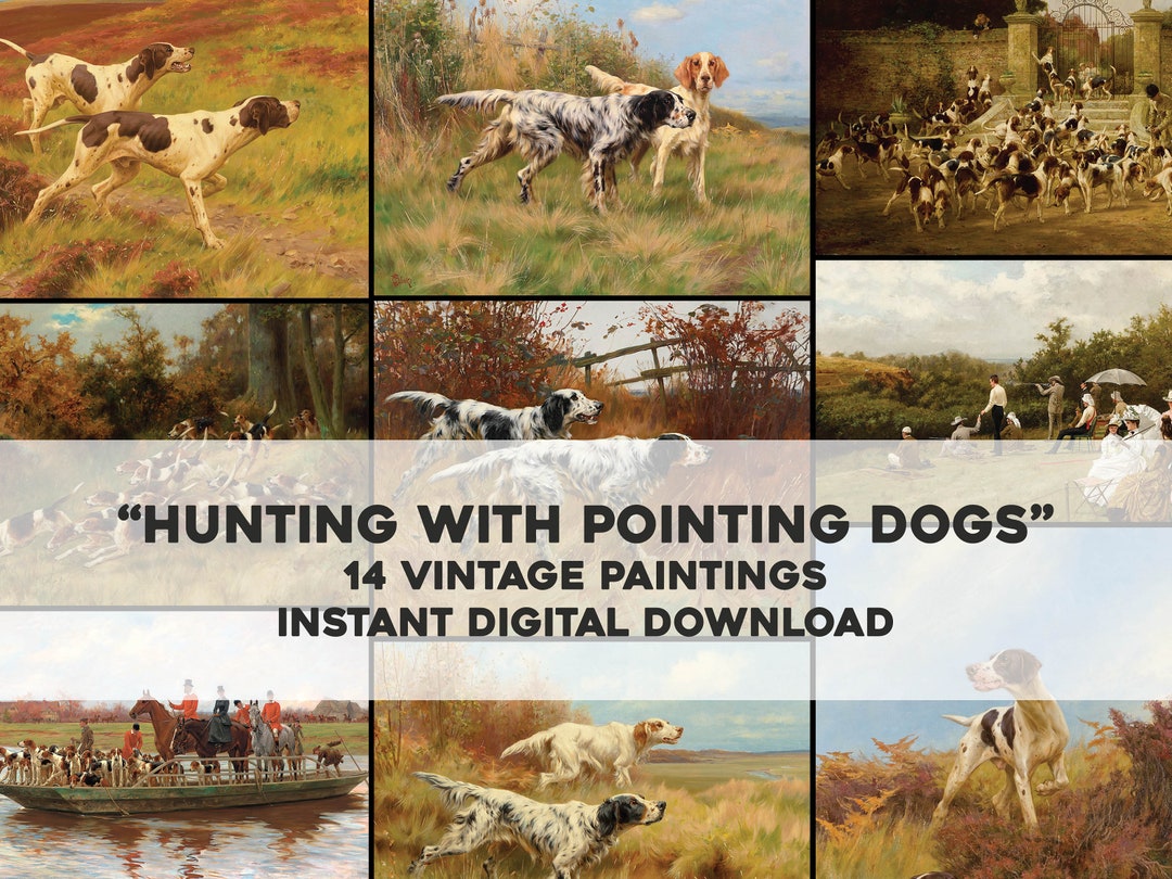 14 Great Hunting Pointer Dog Paintings Thomas Blinks | HQ Image Bundle ...