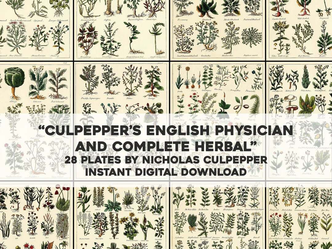 Culpeppers Complete Herbal Restored Medicinal Botanical Illustrations ...