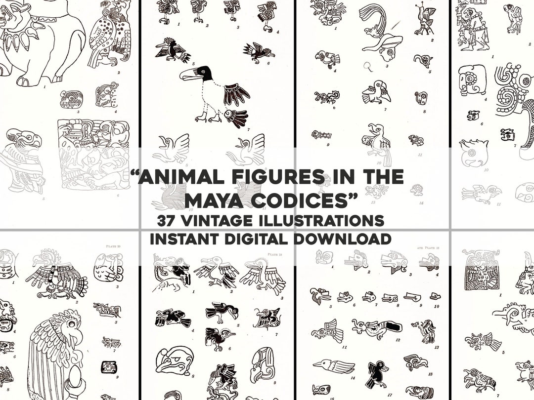 37 Restored Mayan Codex Animal & Figure Symbol Images | HQ Image Bundle ...