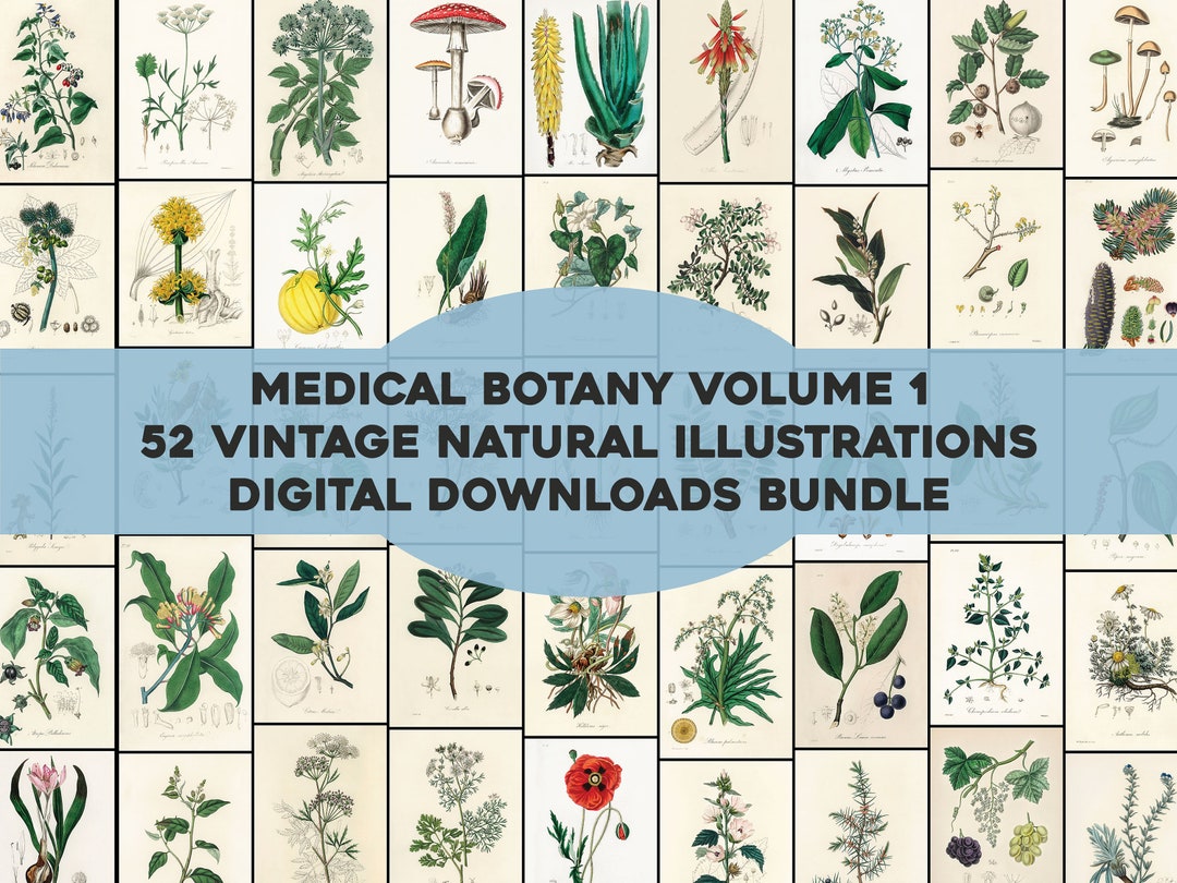 Set 1 Medical Botany 52 Plates High Resolution Image Bundle | Printable ...