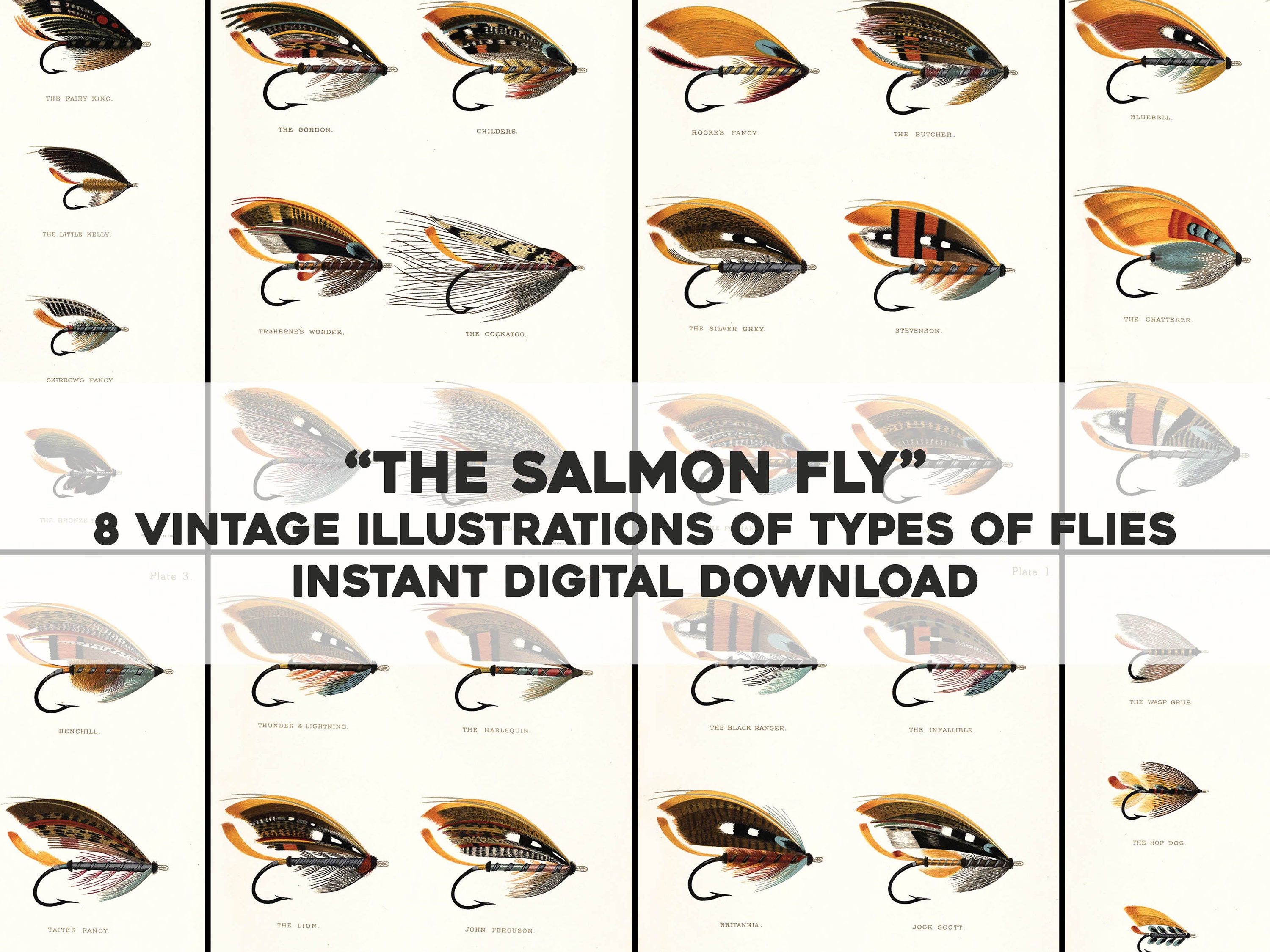 Fly Fishing Flies Illustration