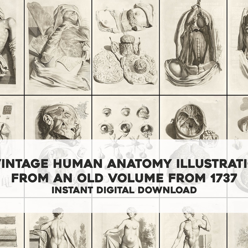 Human Anatomy Printable - Etsy