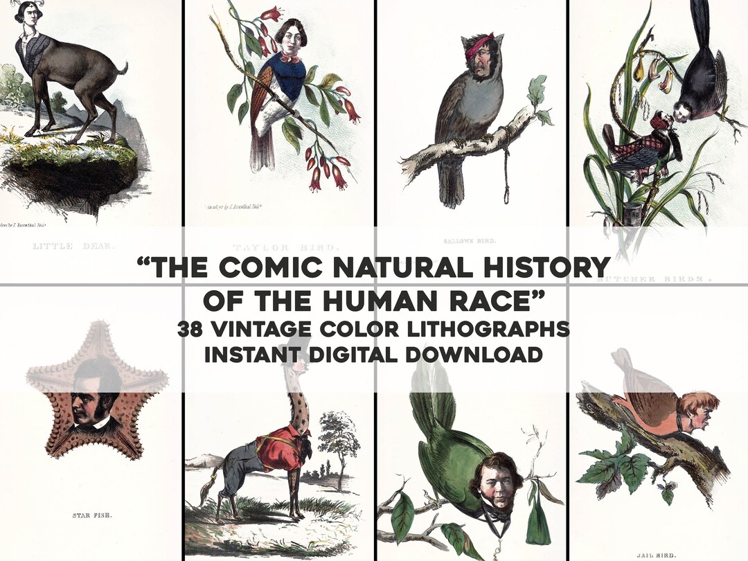 38 Bizarre Satirical Images Comic Natural History | Image Bundle ...