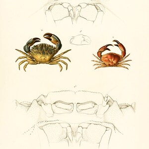 89 Images From South American Expedition Set 3 | HQ Image Bundle ...