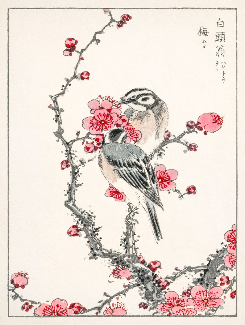 Japanese Bird Illustrations Printable Wall Art Bundle Vintage - Etsy