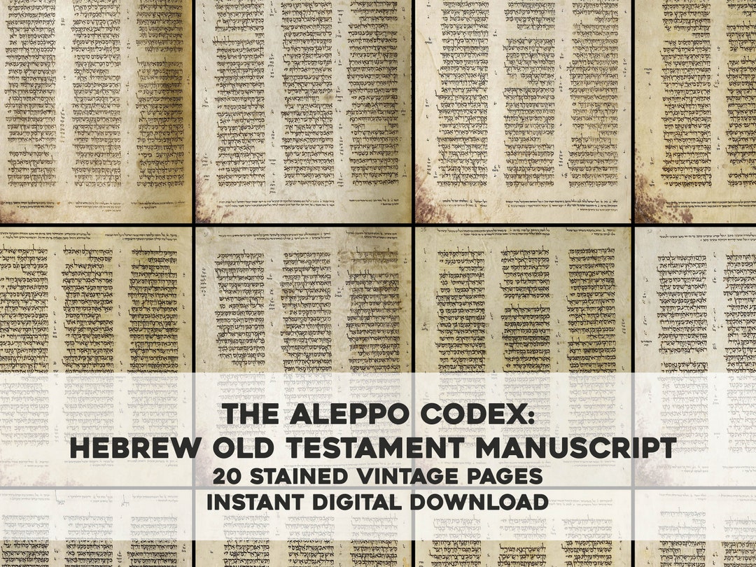 20 Pages From Ancient Hebrew Bible | HQ Vintage Image Resource Bundle ...