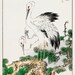 Japanese Bird Illustrations Printable Wall Art Bundle Vintage - Etsy