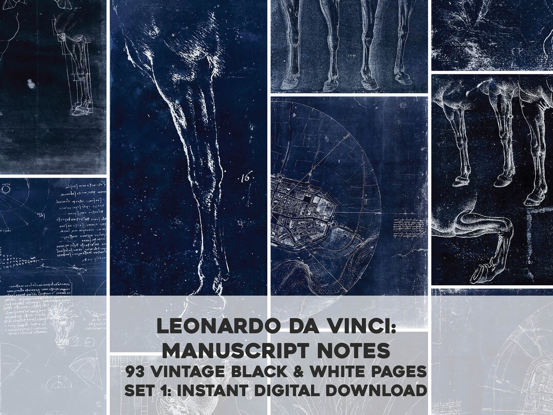 93 Leonardo Da Vinci Sketches Notes Diagrams Negative Set 1 | Image ...