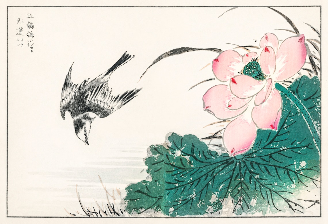 Japanese Bird Illustrations Printable Wall Art Bundle Vintage | Etsy