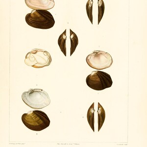 89 Images From South American Expedition Set 3 | HQ Image Bundle ...