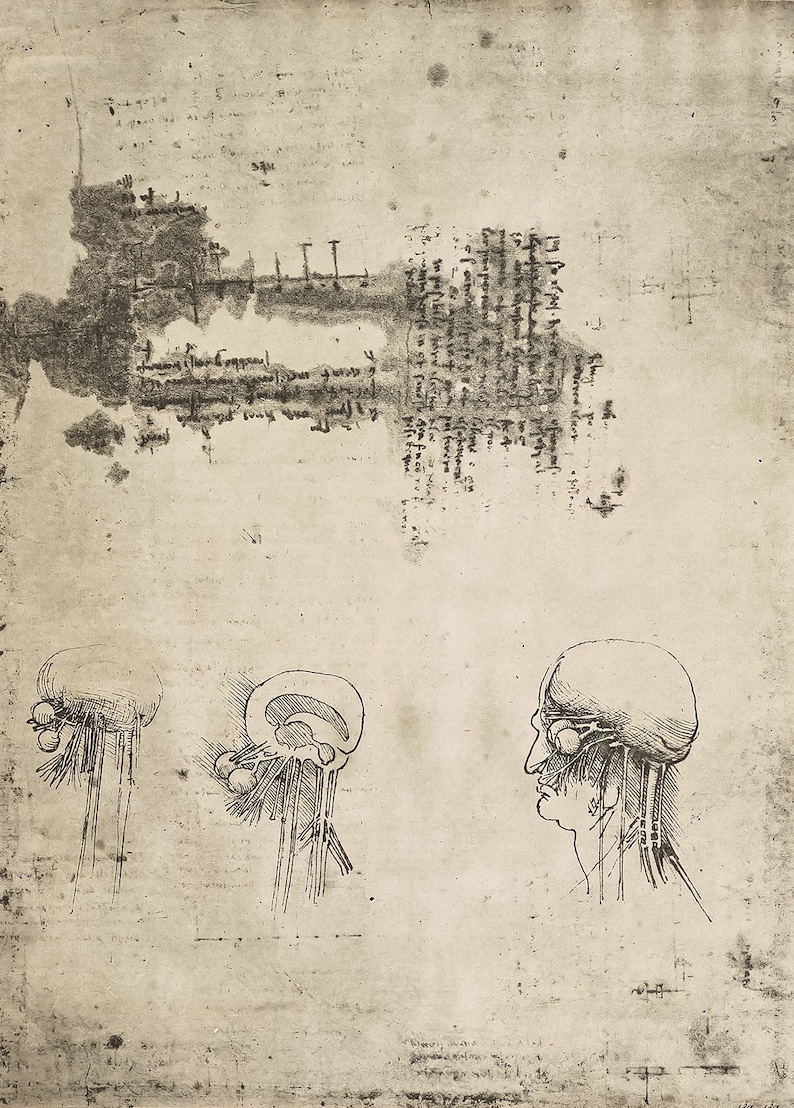 114 Leonardo Da Vinci Manuscript Sketches Notes Diagrams Set 2 | Image ...