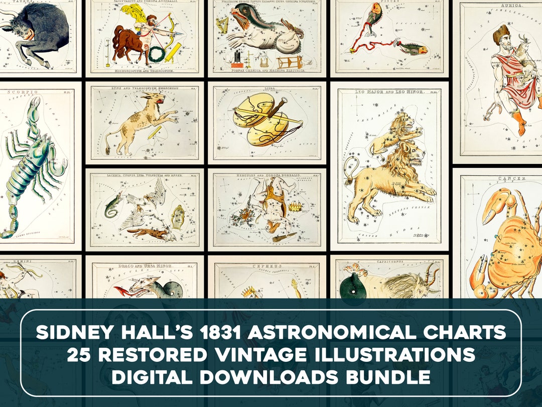 Astronomical Charts Zodiac Signs Vintage Illustrations | Astrology ...