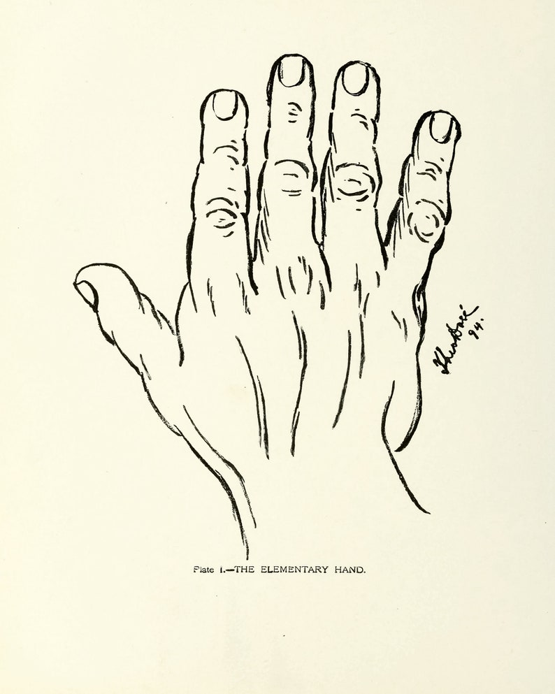 52 Images From Language of the Hand Palmistry Palm Reading | HQ Image ...