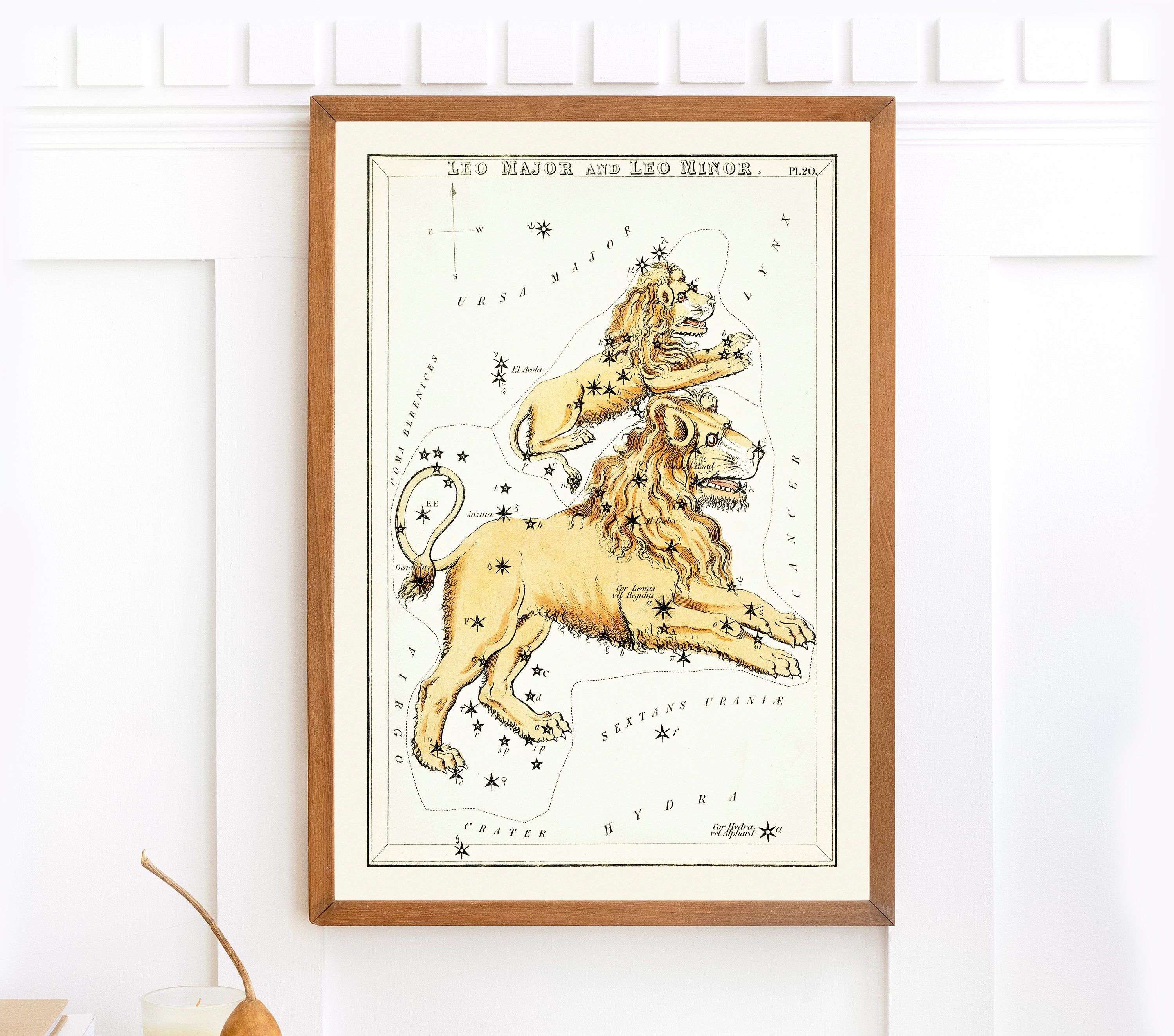 Leo Zodiac Sign Astronomical Chart Vintage Illustration - Etsy