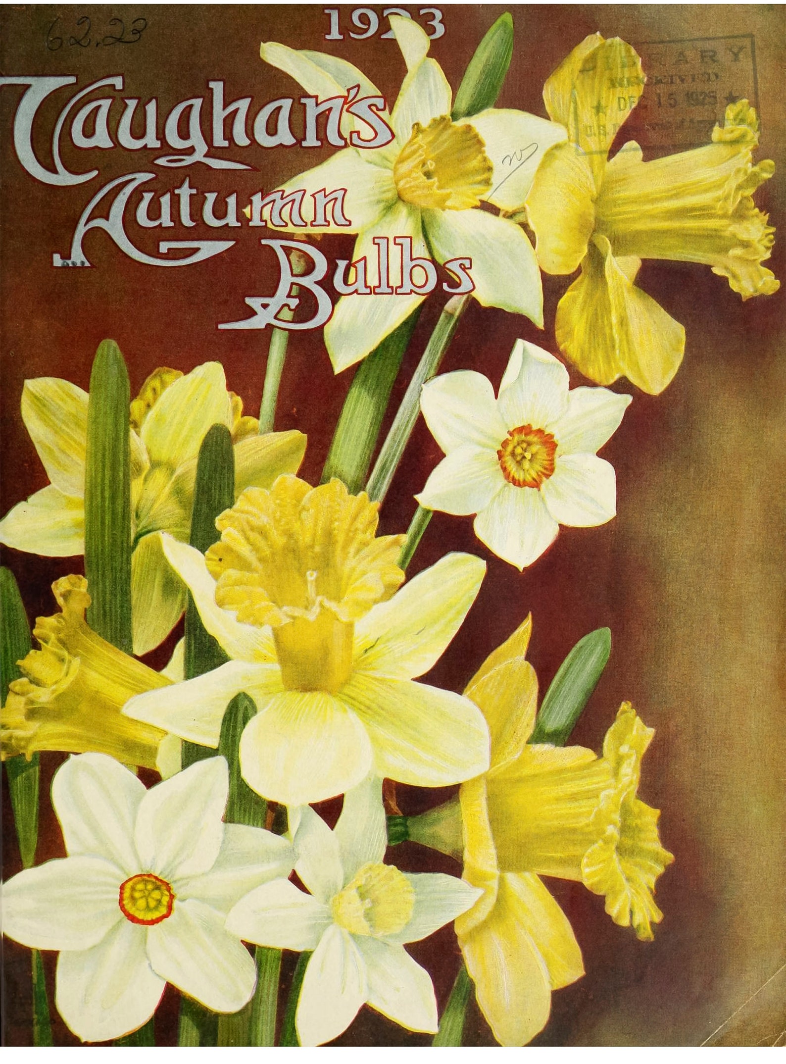 73 Seed Catalogue Illustrations Botanical Floral Garden | Vintage Craft ...