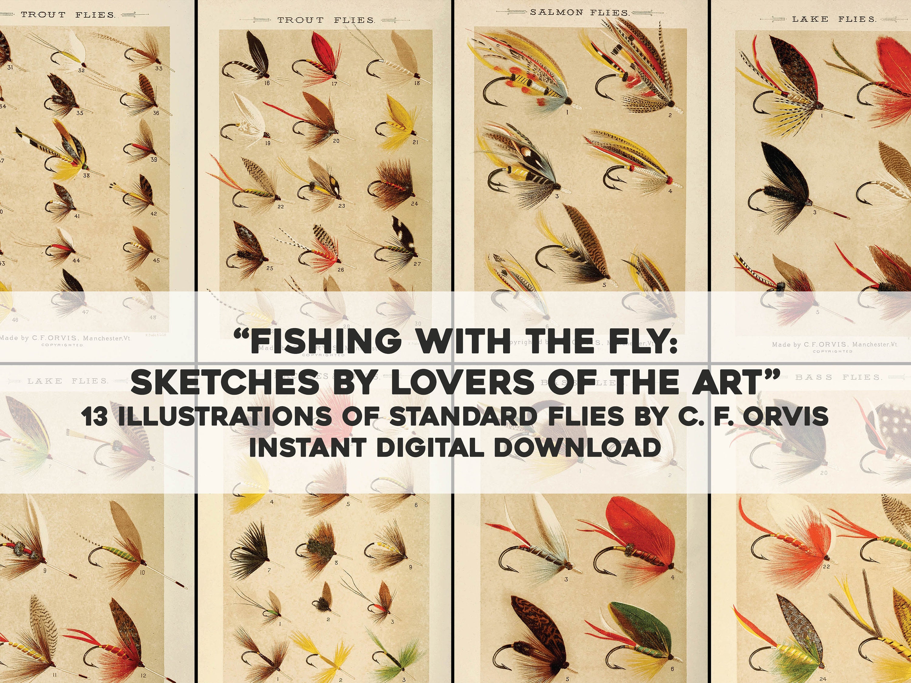 Fly Fishing Flies Drawing