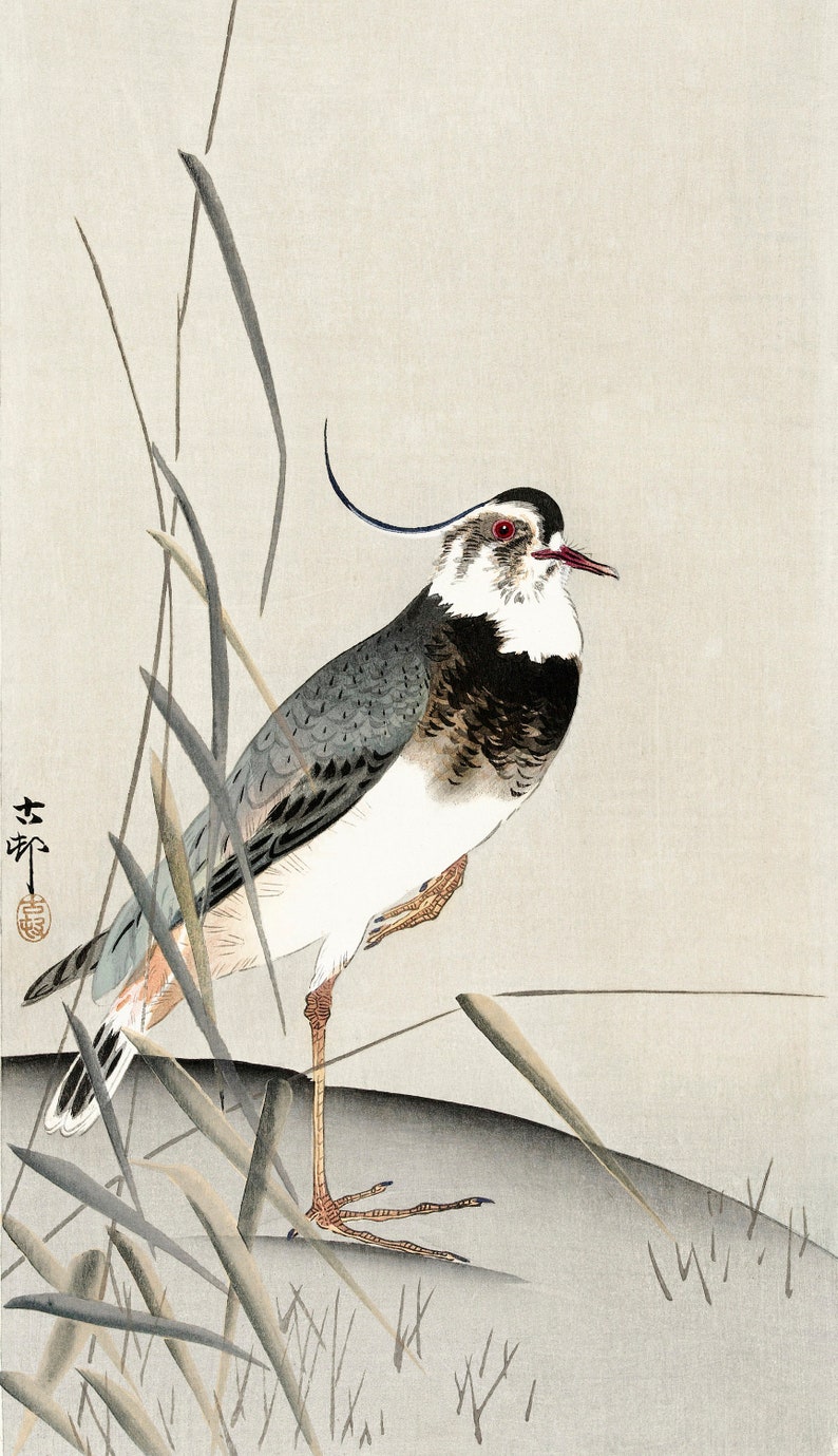 Ohara Koson Volume 6 Woodblock Prints Printable Wall Art Bundle ...