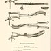 110 Surgical Instrument Illustrations Doctor Surgeon Anatomy Med ...