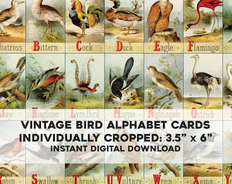 Cute Picture Alphabet Object Print for - Etsy