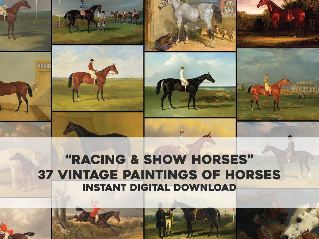 37 Vintage Race & Show Horse Equestrian Paintings | Image Bundle ...