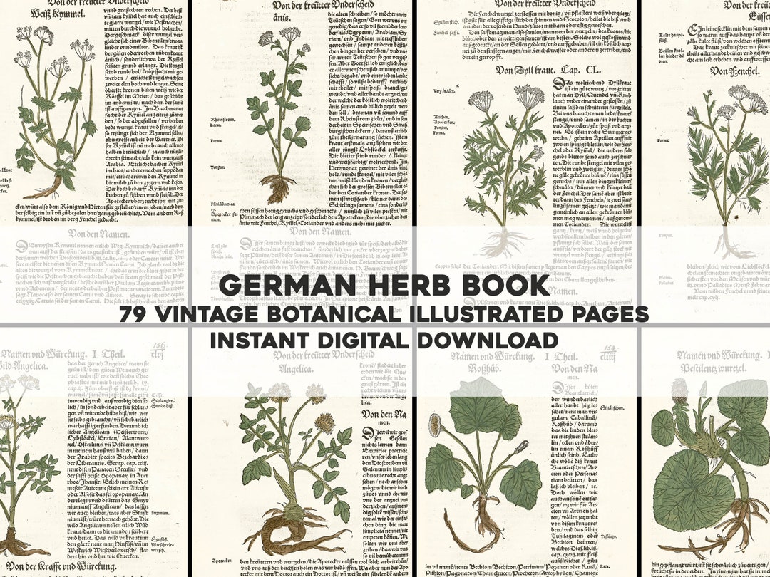 79 Restored Pages From an Old German Herbal Book | Image Bundle ...