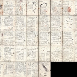 37 Leonardo Da Vinci Manuscript Pages on the Flight of Birds | Image ...