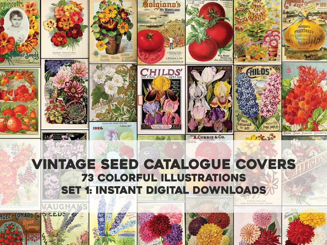 73 Seed Catalogue Illustrations Botanical Floral Garden | Vintage Craft ...
