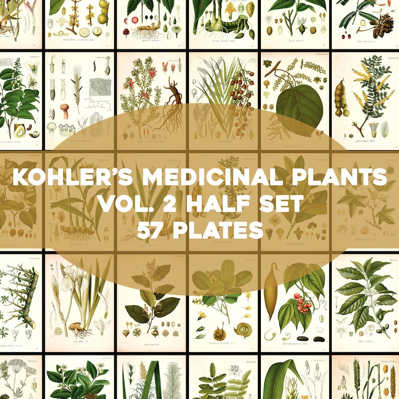 Kohls' Kitchen - Etsy