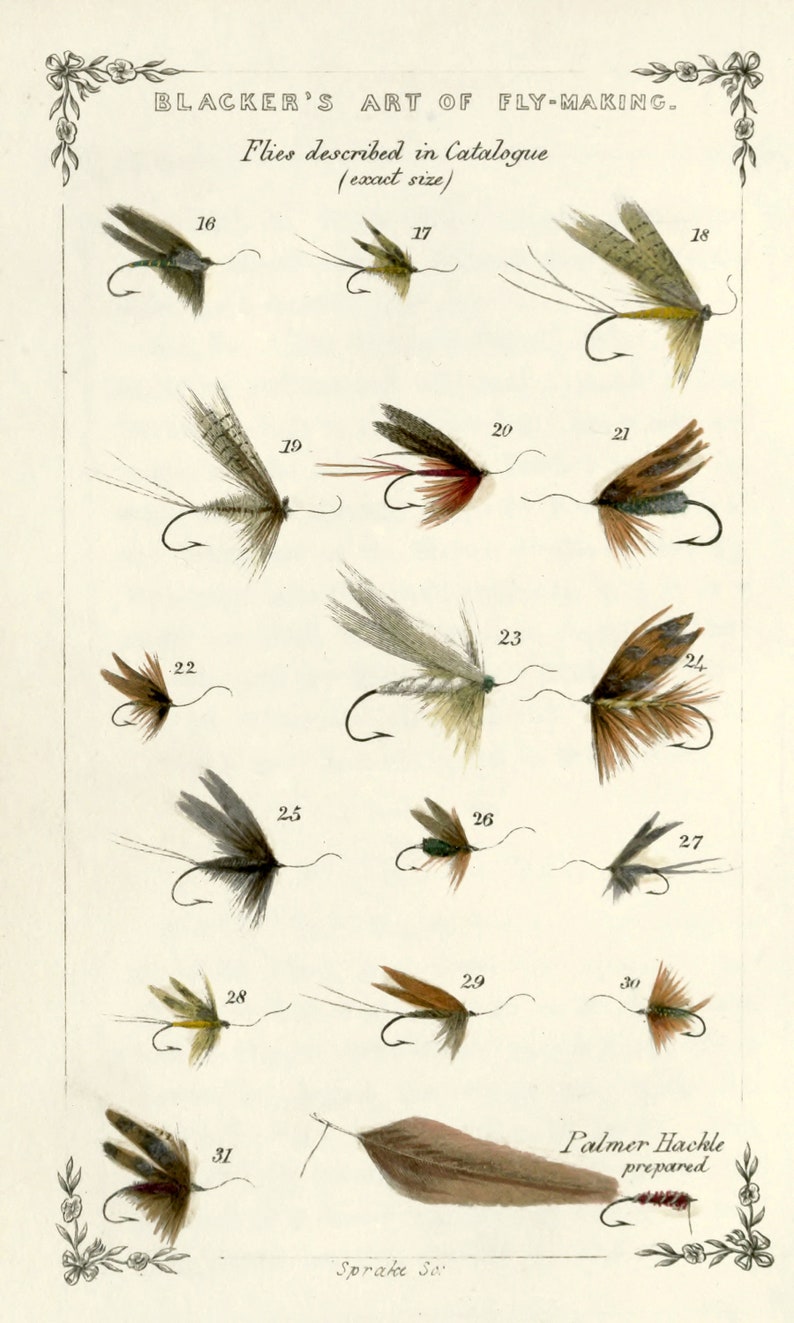 20 Blacker's Art of Fly Making Fishing Flies Illustrations | Image ...