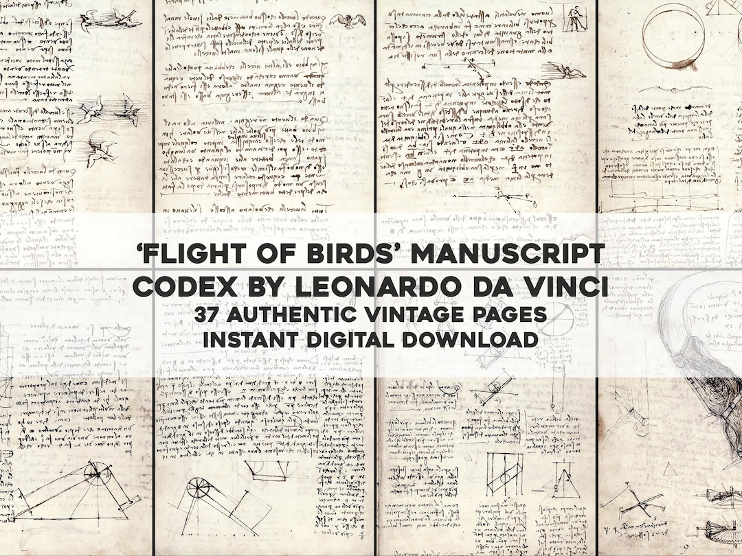 37 Leonardo Da Vinci Manuscript Pages on the Flight of Birds | Image ...