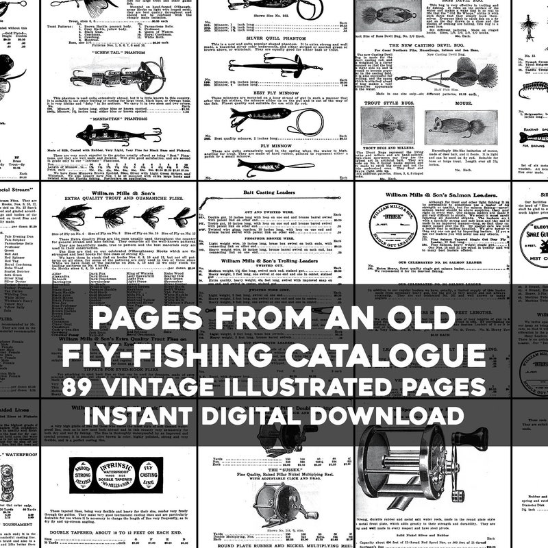 Bass Fish Wrapping Paper - Etsy