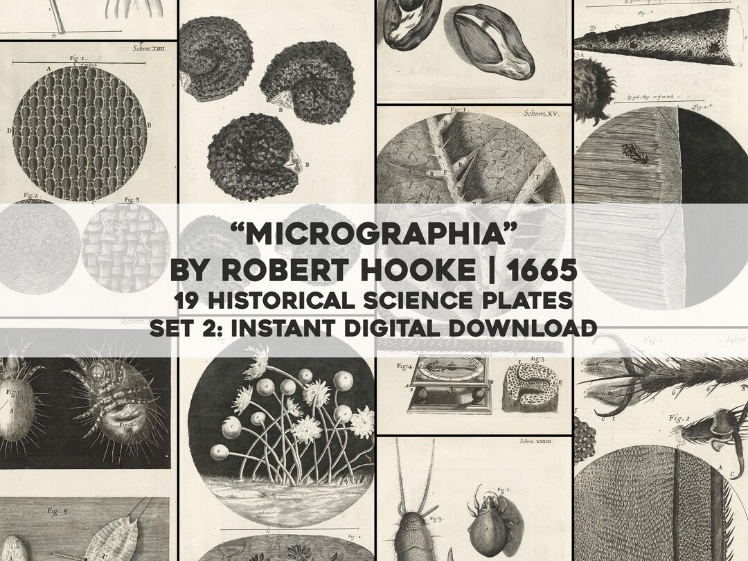 Micrographia Set 2 Famous Microscopic Drawings | Image Bundle Printable ...