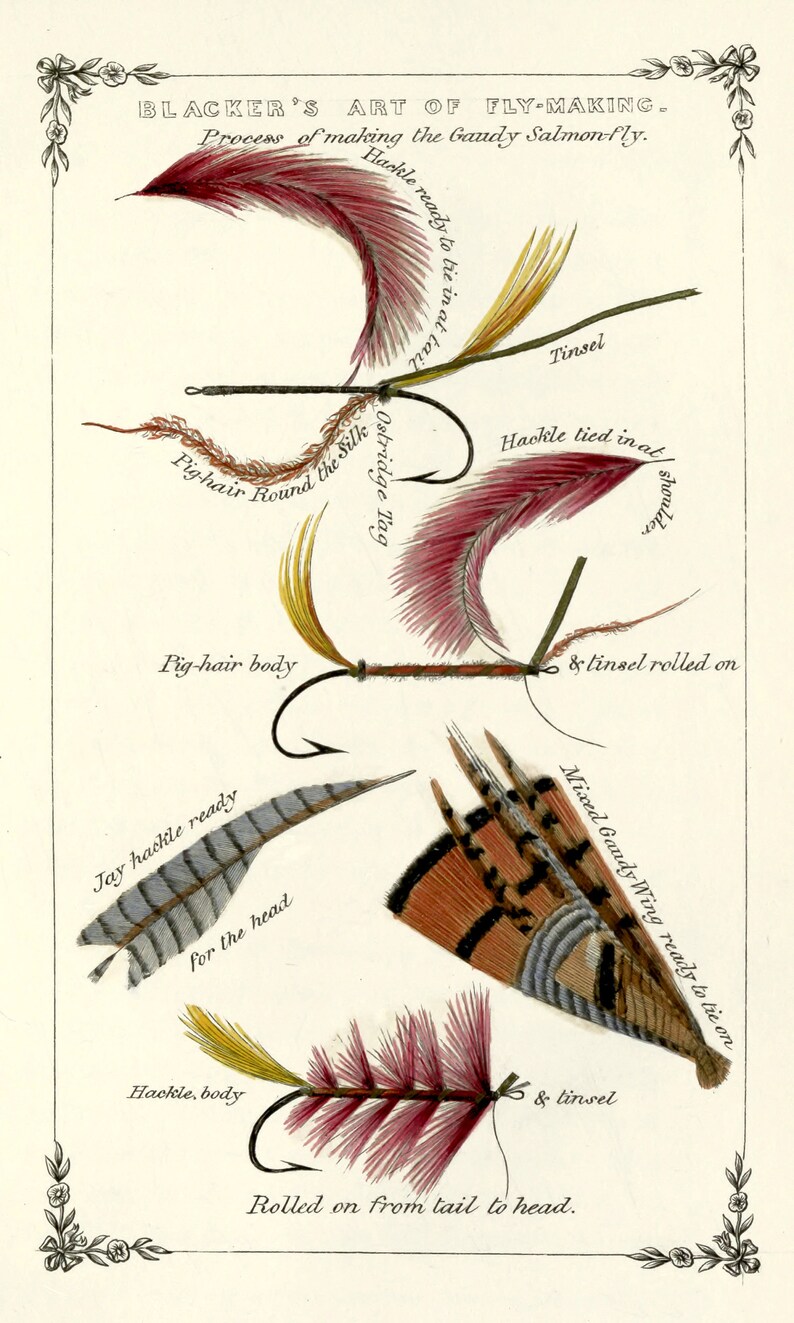 20 Blacker's Art of Fly Making Fishing Flies Illustrations | Image ...