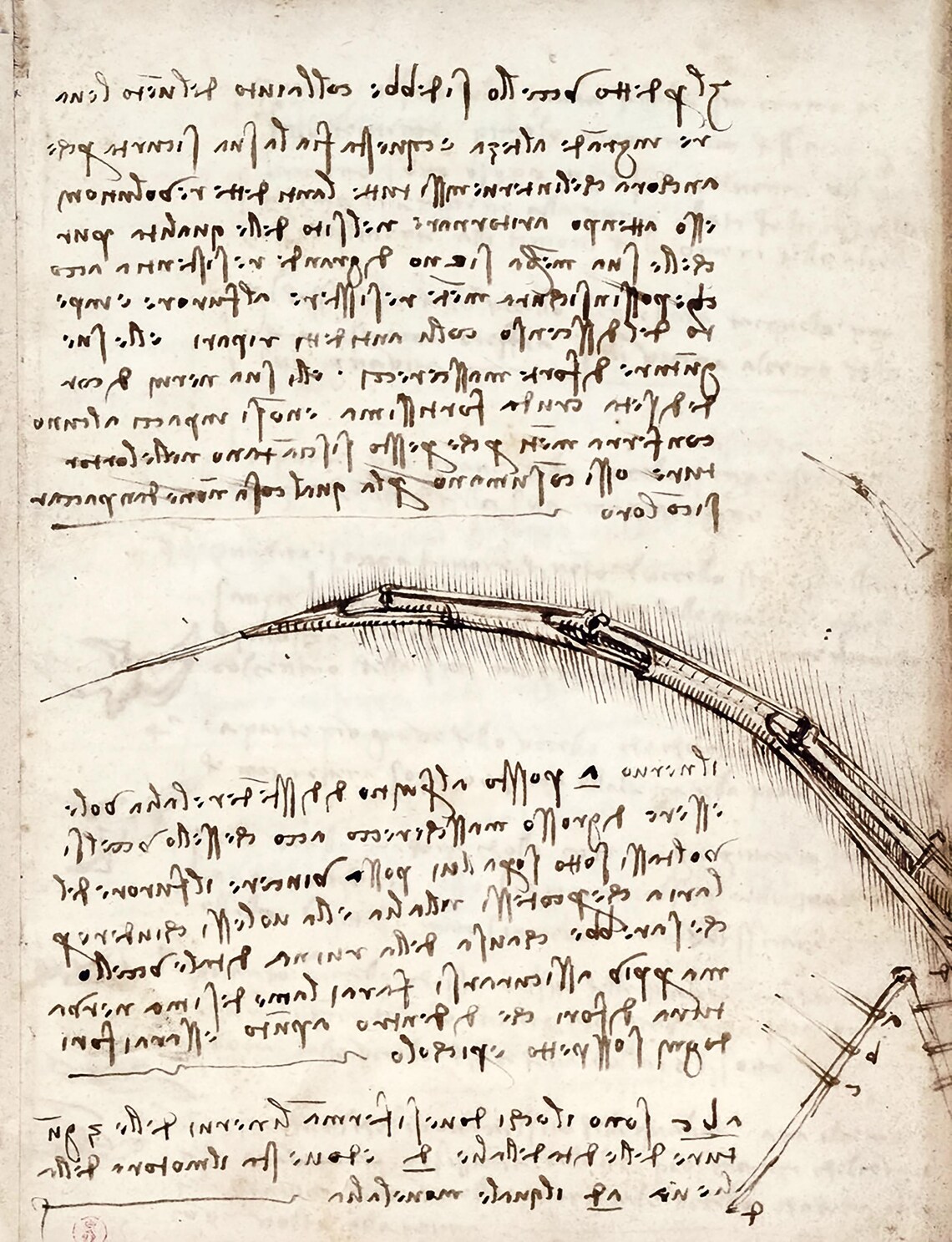 37 Leonardo Da Vinci Manuscript Pages on the Flight of Birds | Image ...