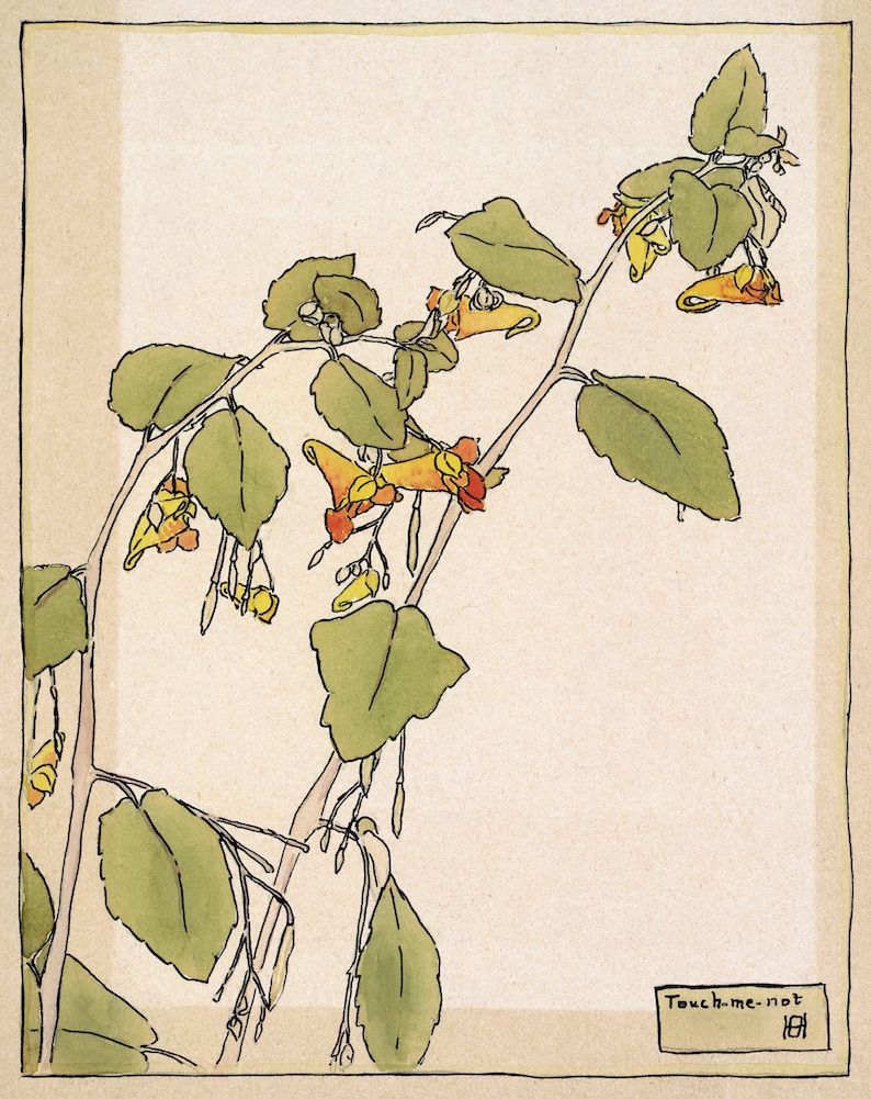 Hannah Overbeck Botanical Art Nouveau Printable Wall Art - Etsy