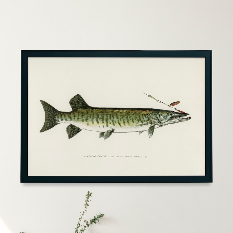 Muskie - Etsy