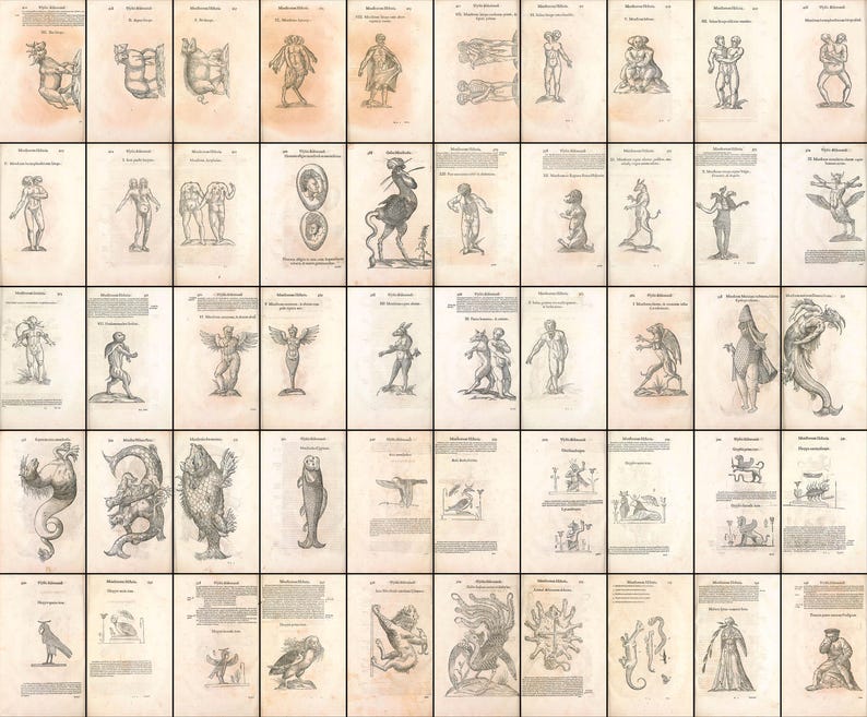 The History of Monsters Set 1 | 93 Stained Distressed Images Bundle ...
