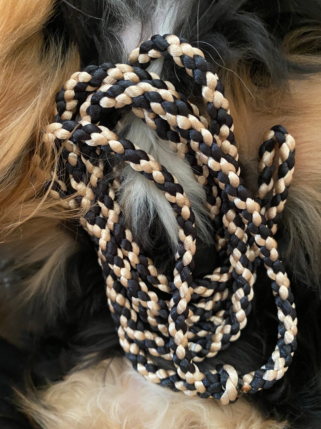 Black and Tan Braided Show Lead - Etsy