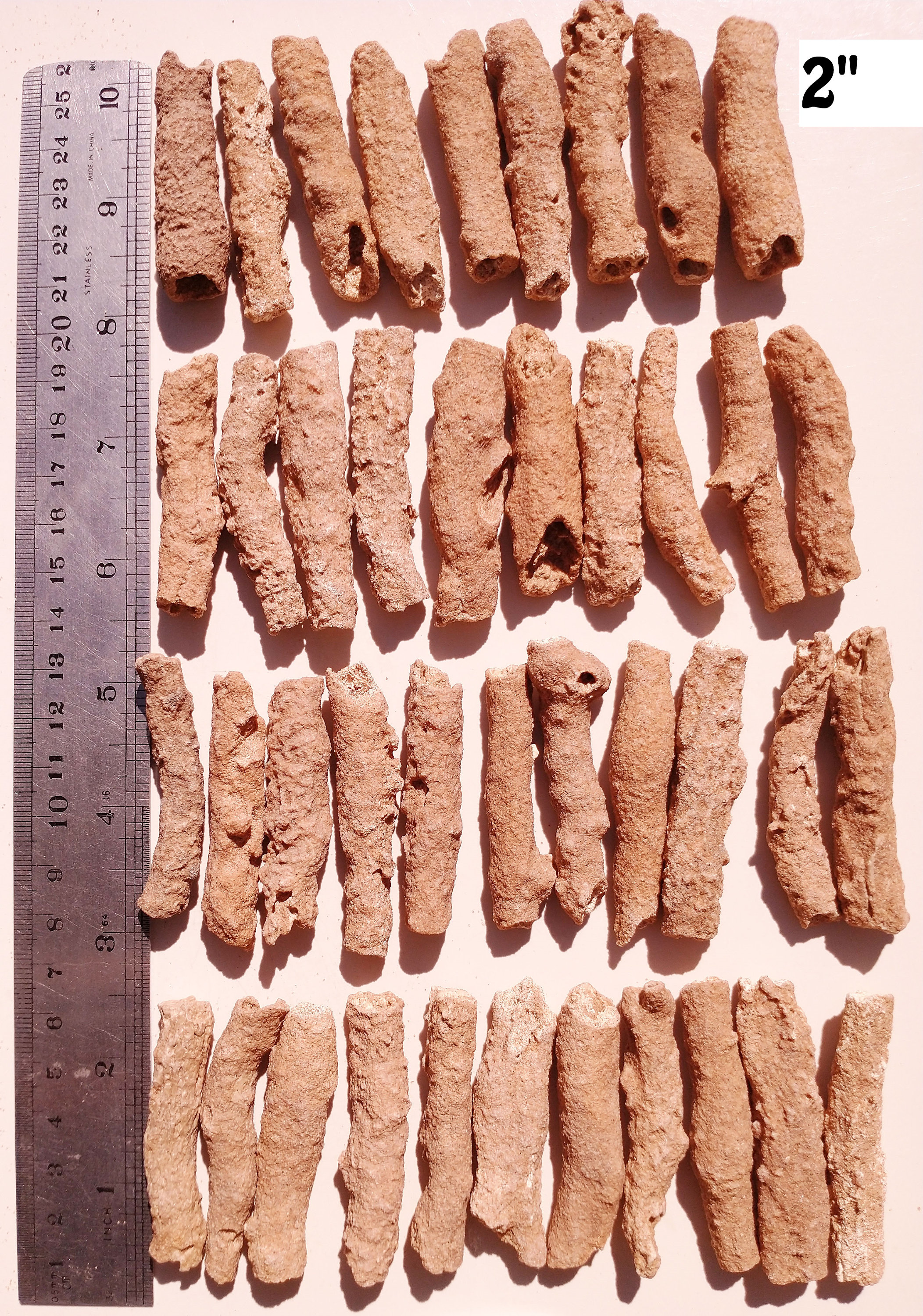 Free Shipping! LIGHTNING in a BOTTLE - 4 Sizes FULGURITE: Petrified ...