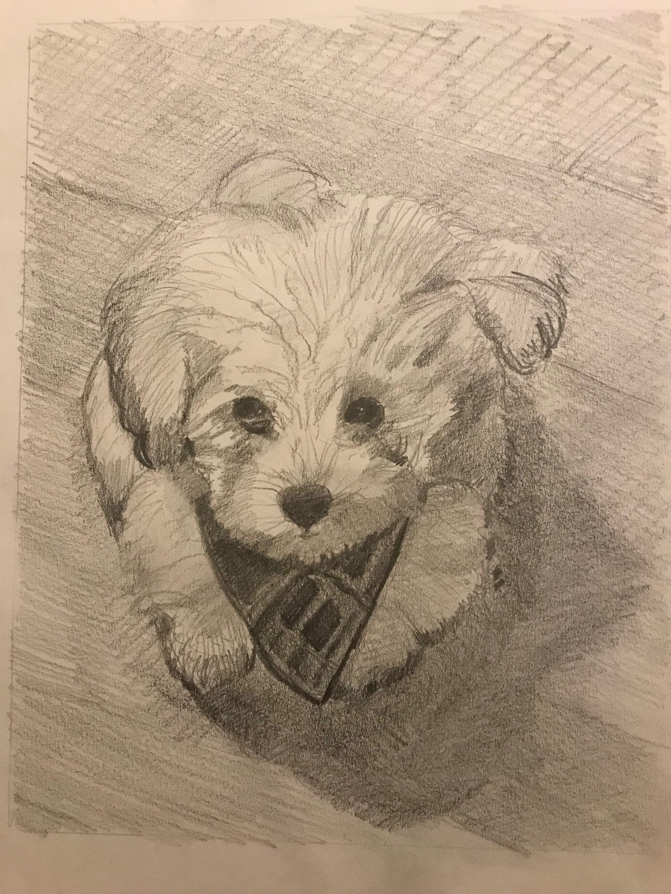 Pencil Pet Drawing, Custom Pet Portrait, Pet Memorial Drawing, Dog ...