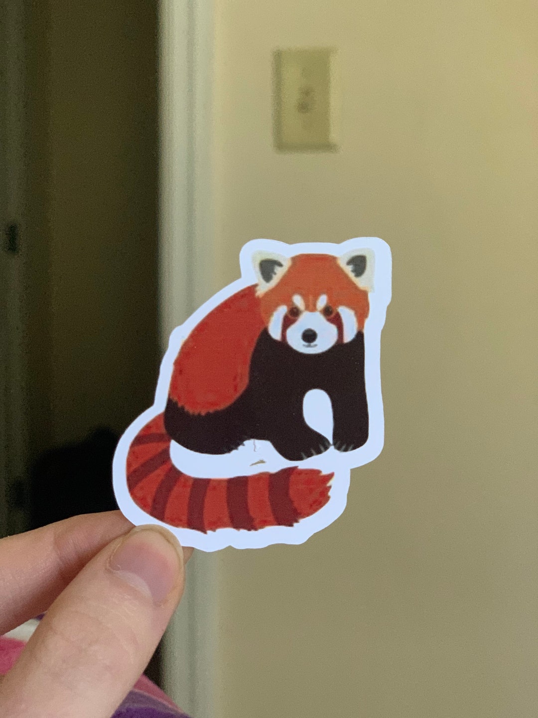 Red Panda Sticker for Laptop, Phone, iPad Case, Keyboard, Books - Etsy