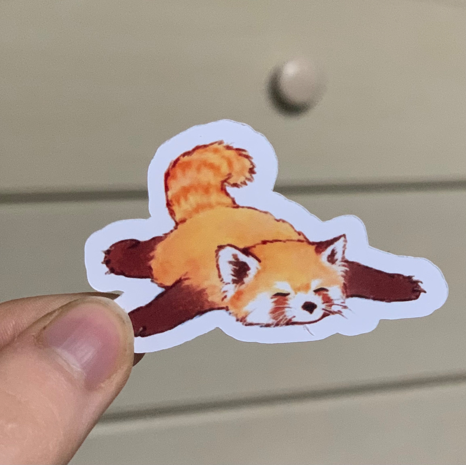 Red Panda Sticker Laying Down! for Laptop, Phone, iPad Case, Keyboard ...