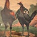 Pair Charming Antique Framed Ludlow Lithograph Prints Fancy Chickens - Etsy