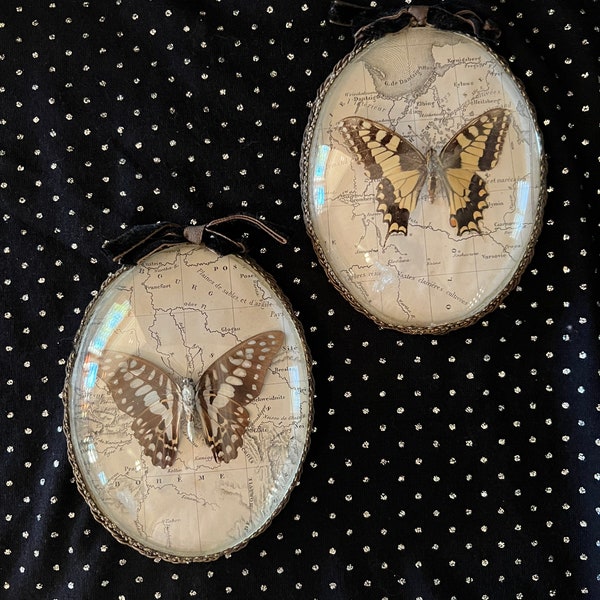 Butterfly Plaques - Etsy