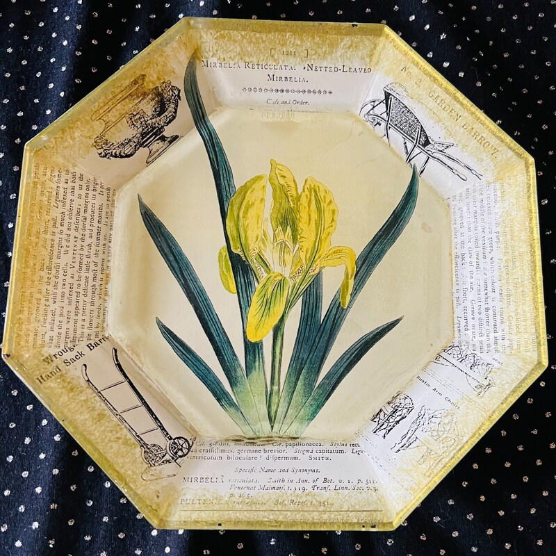 Botanical Plates - Etsy