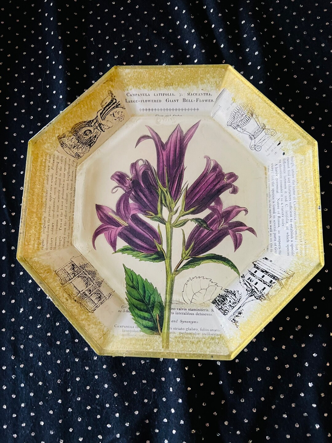 Vintage Decoupage Glass Botanical Plate #4 Giant Bell Flower - Etsy